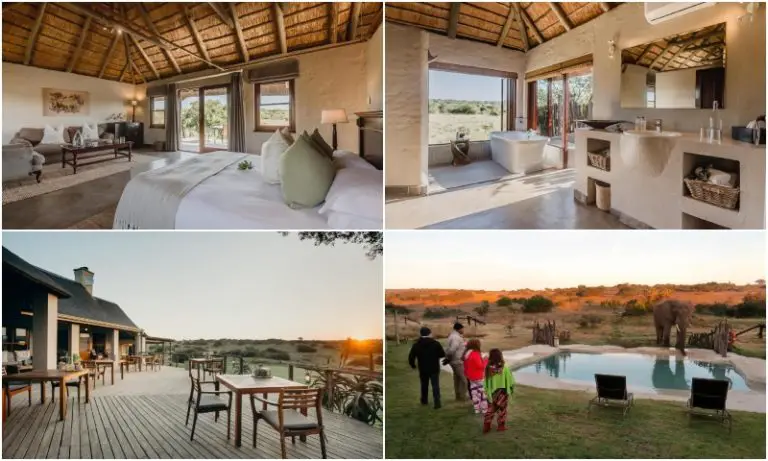 15 Best Safari Lodges in Eastern Cape Game Reserves [2026]